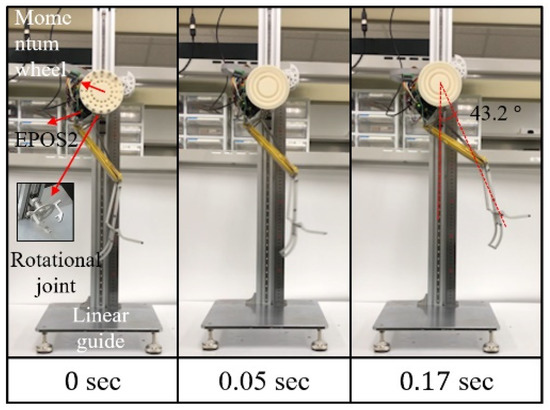 Study on the Compact Balance Control Mechanism for Guinea Fowl Jumping ...