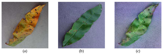 A Five Convolutional Layer Deep Convolutional Neural Network for Plant ...