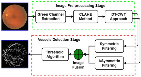 An Automated Image Segmentation and Useful Feature Extraction Algorithm ...