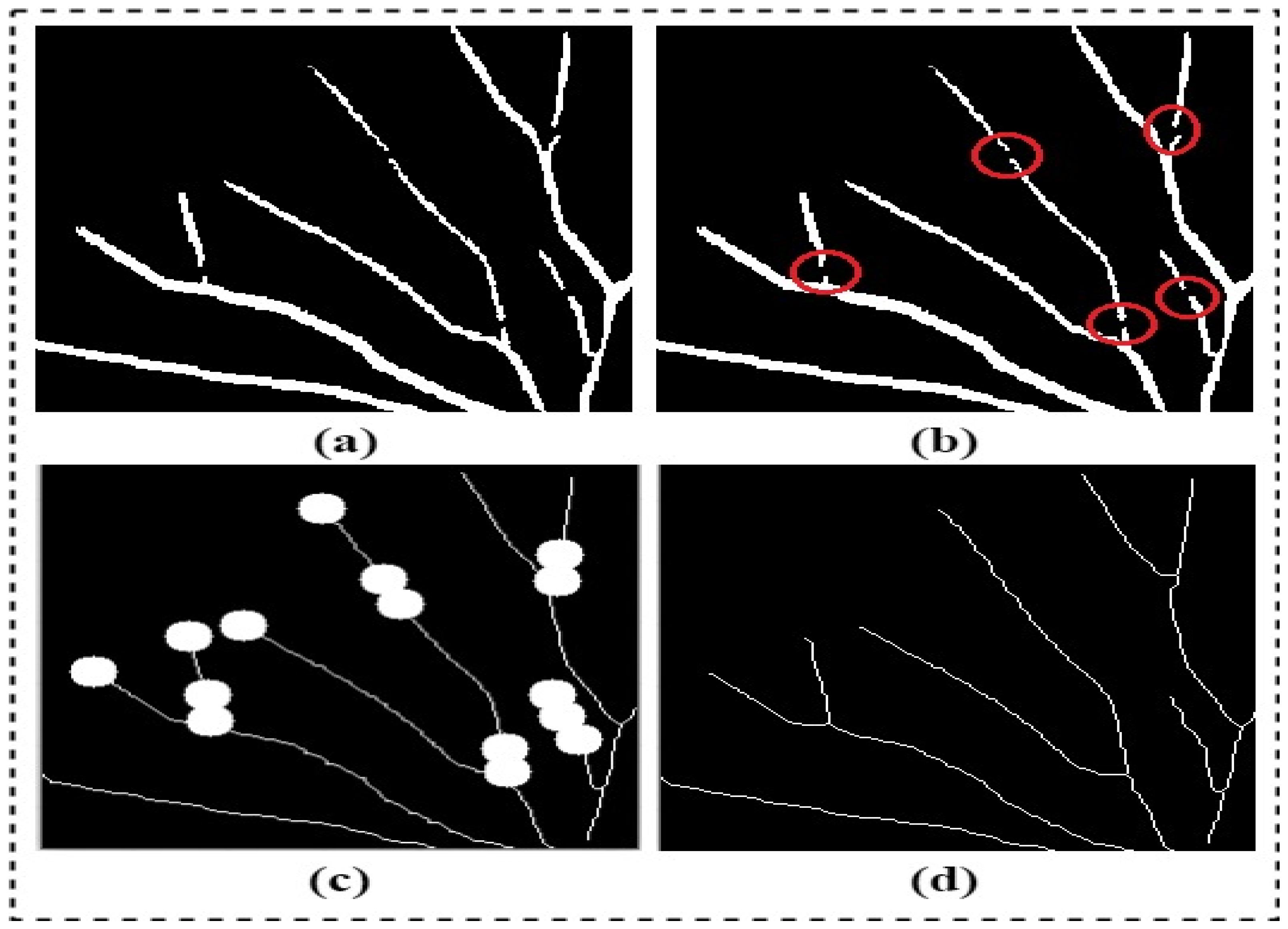 Electronics | Free Full-Text | An Automated Image Segmentation and Useful Feature Extraction ...