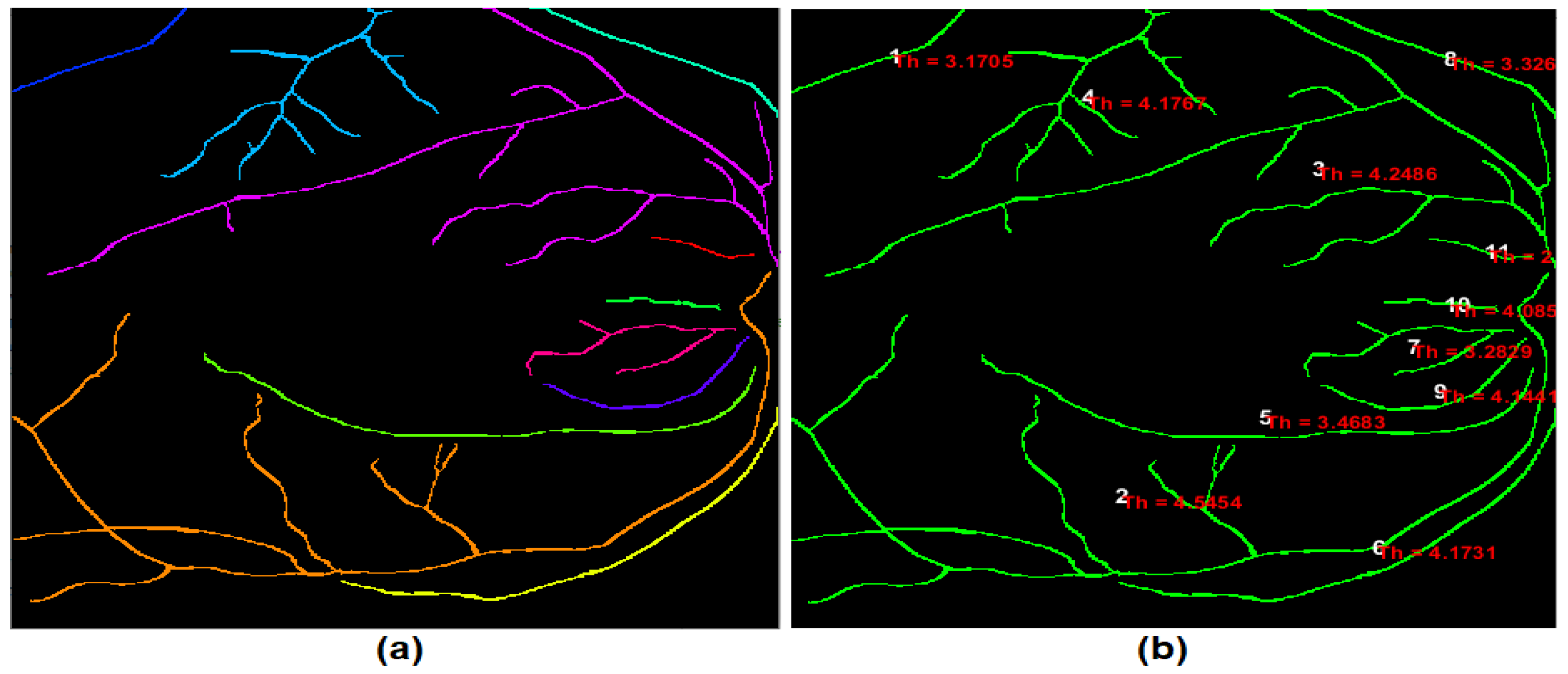 Electronics | Free Full-Text | An Automated Image Segmentation and Useful Feature Extraction ...