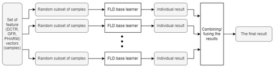 Electronics | Free Full-Text | Detection of Image Steganography Using Deep Learning and Ensemble ...