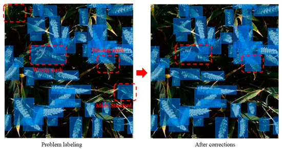 Improved YOLO v5 Wheat Ear Detection Algorithm Based on Attention Mechanism