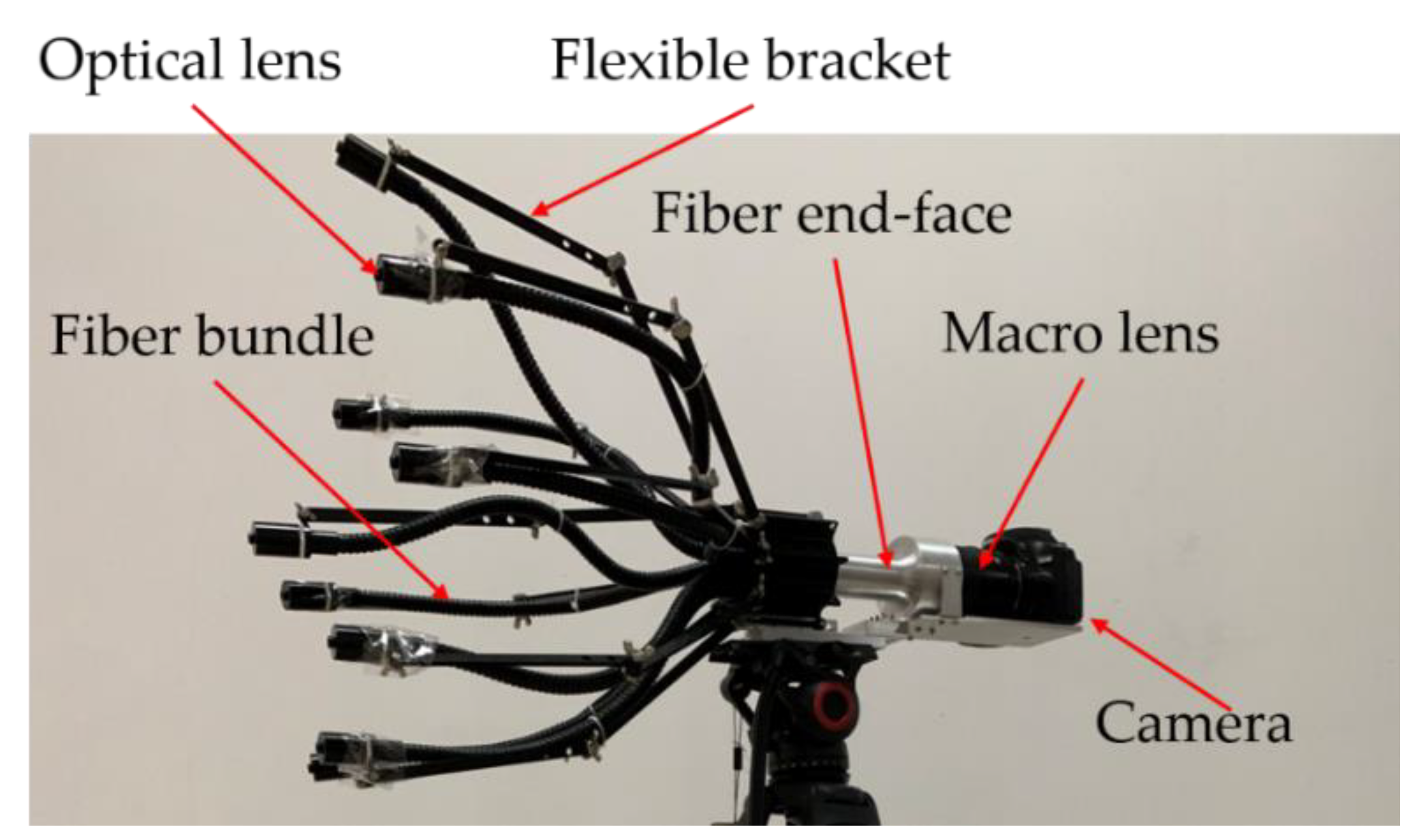 Three-Dimensional Reconstruction Method for Bionic Compound-Eye System ...