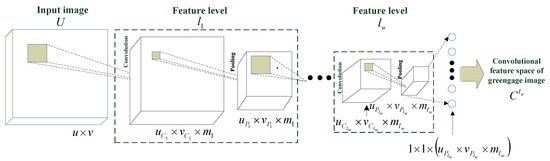Computer Vision and Image Processing