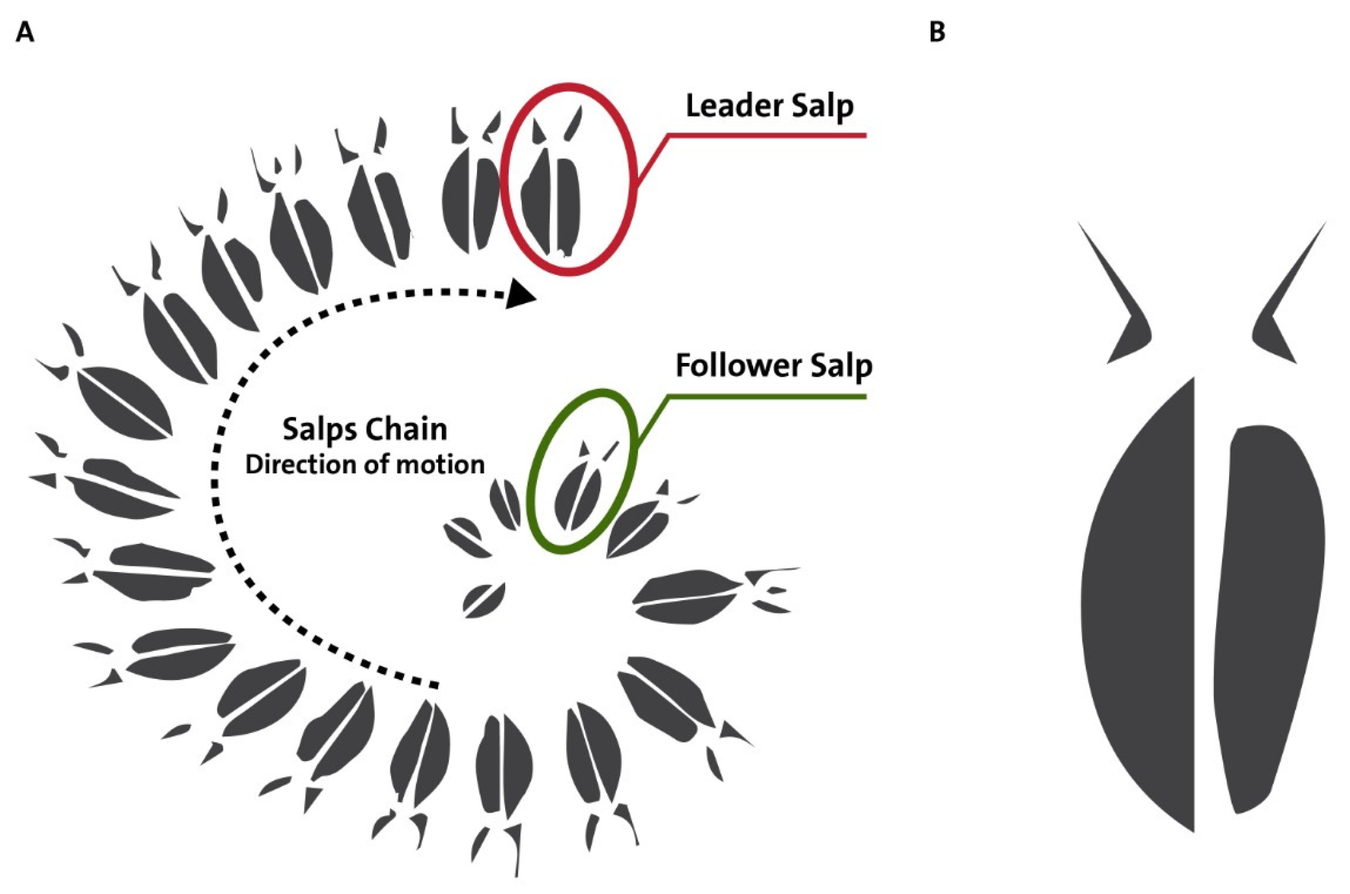 Digital Forensics Classification Based on a Hybrid Neural Network and ...