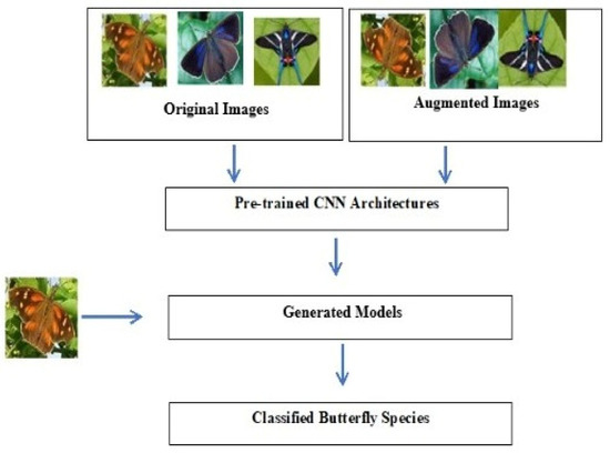 Electronics | Free Full-Text | A Novel Method for the Classification of ...