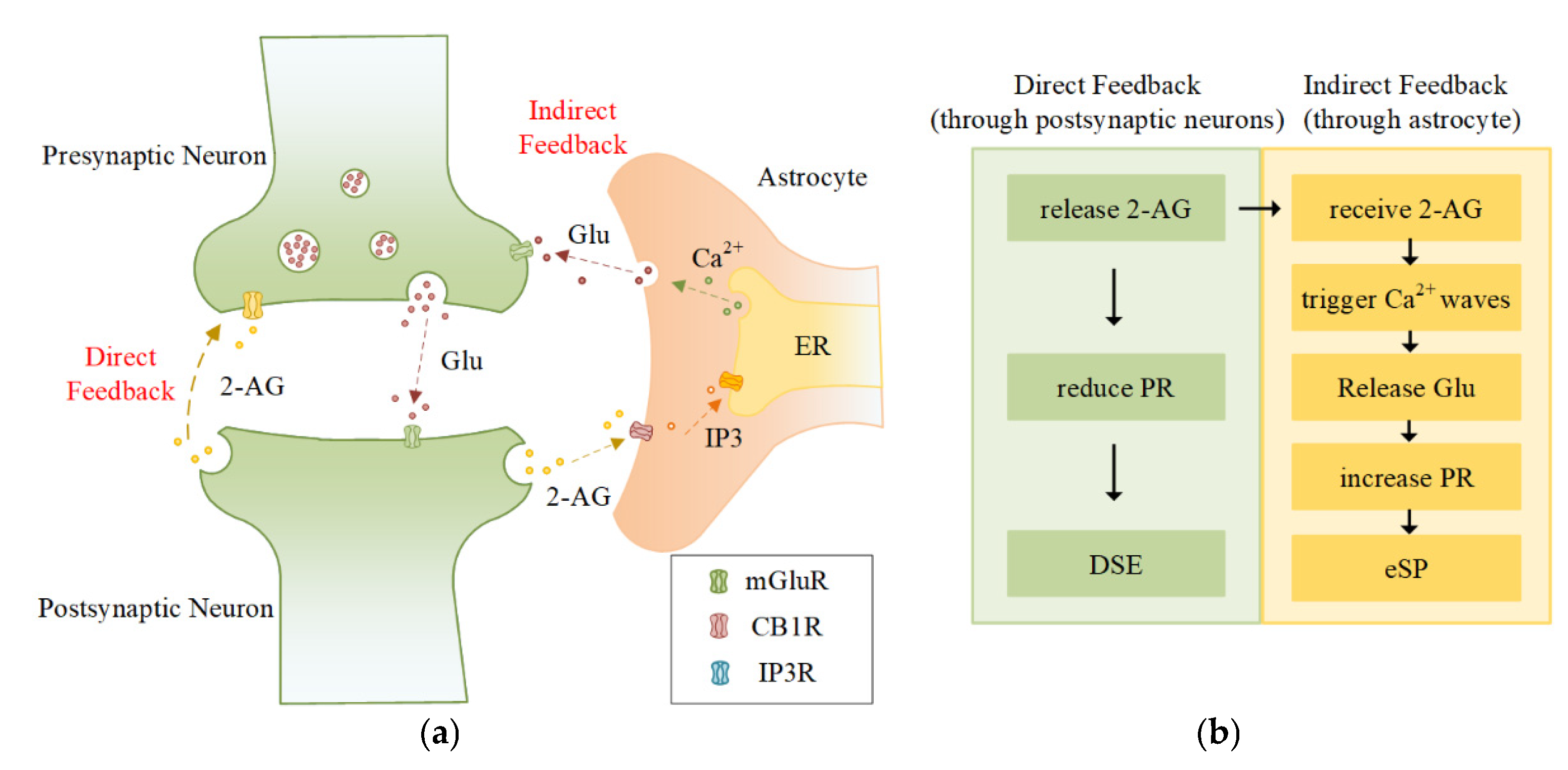 Embedded Real-Time Implementation of Bio-Inspired Central Pattern ...