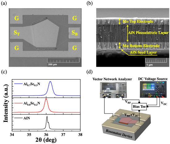 Effects of Electric Bias on Different Sc-Doped AlN-Based Film Bulk ...