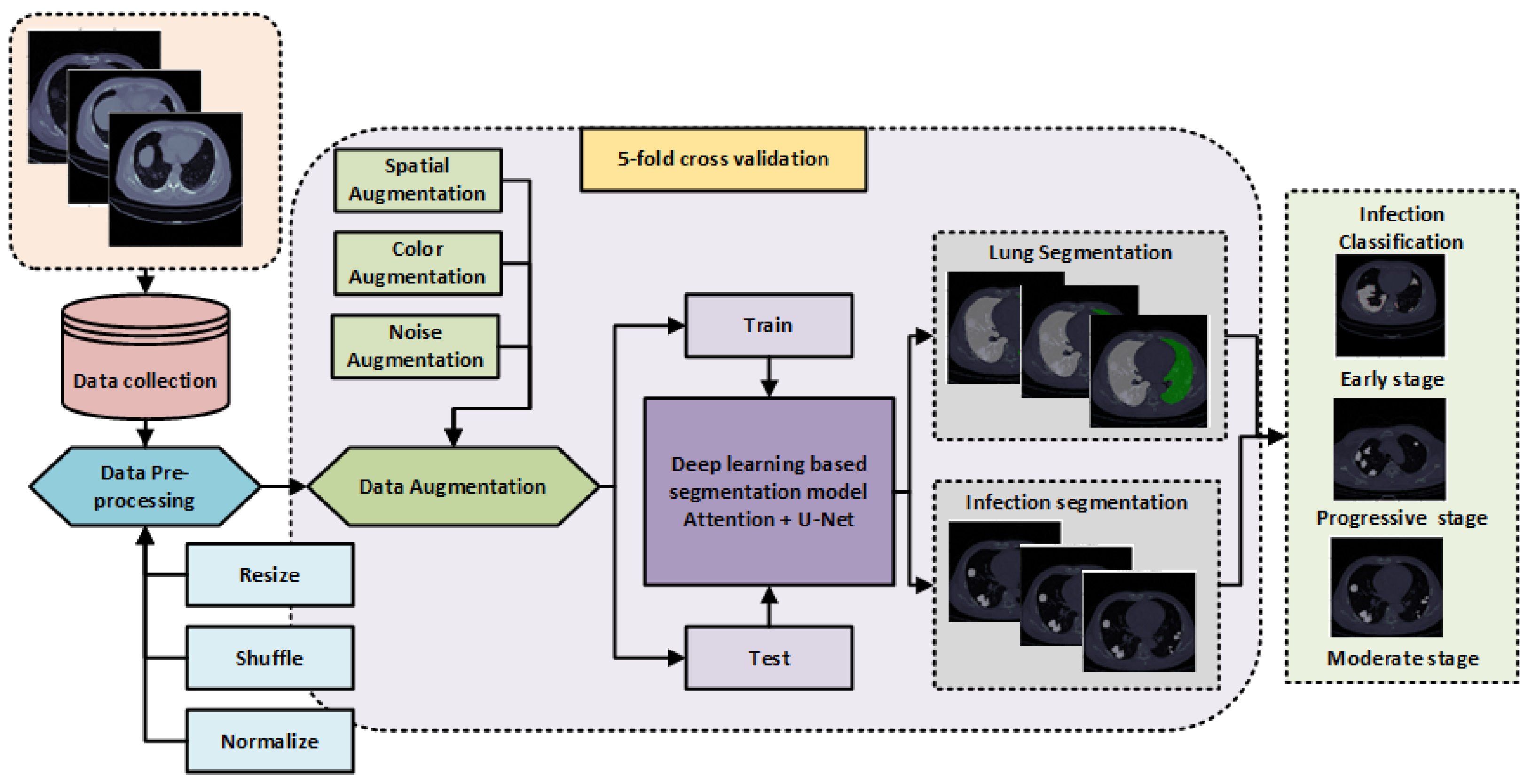 A Sustainable Deep Learning-Based Framework for Automated Segmentation ...