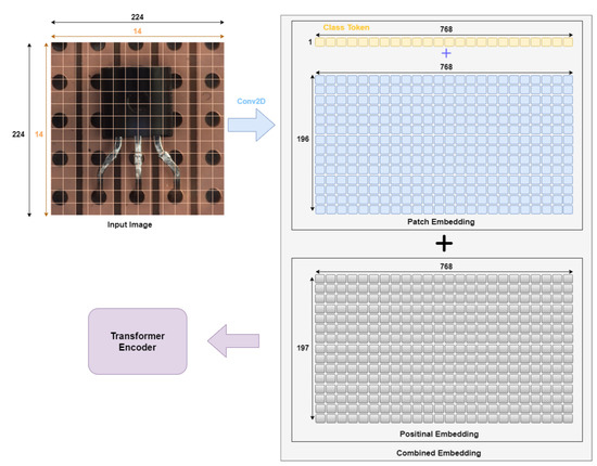 ViV-Ano: Anomaly Detection and Localization Combining Vision Transformer and Variational ...