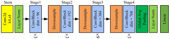 Computer Vision and Image Processing