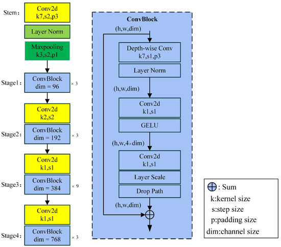 Computer Vision and Image Processing