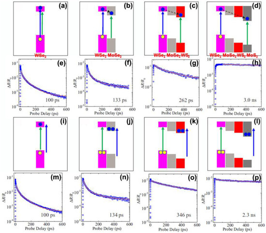 Recent Progress in Fabrication and Physical Properties of 2D TMDC-Based ...