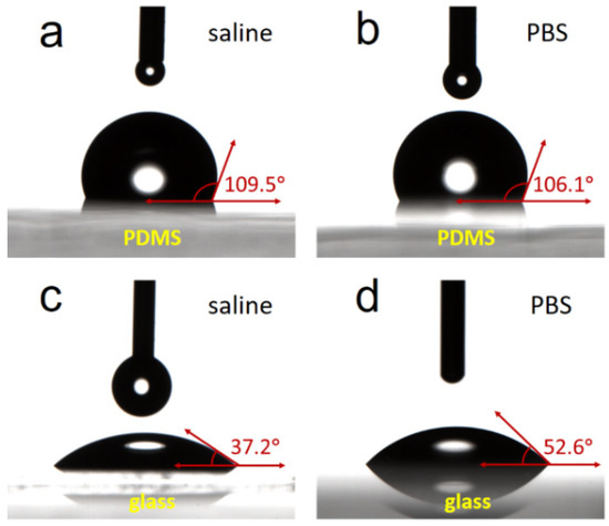 From Transparent Cranial Windows to Multifunctional Smart Cranial Platforms