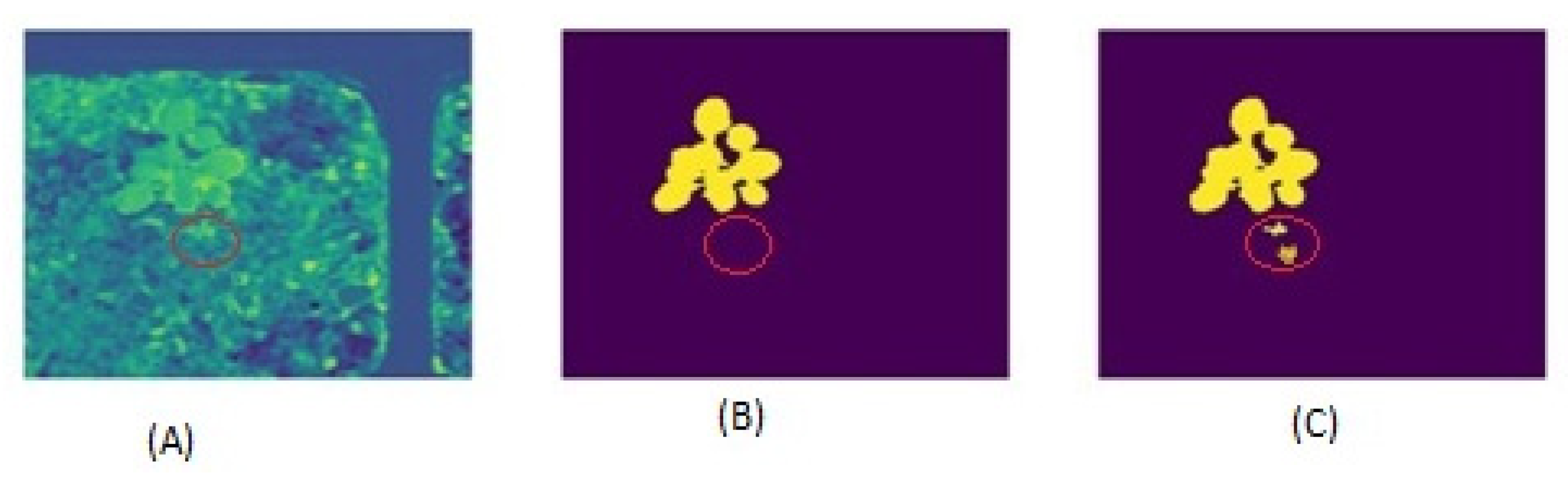 Segmentation of Spectral Plant Images Using Generative Adversary Network Techniques