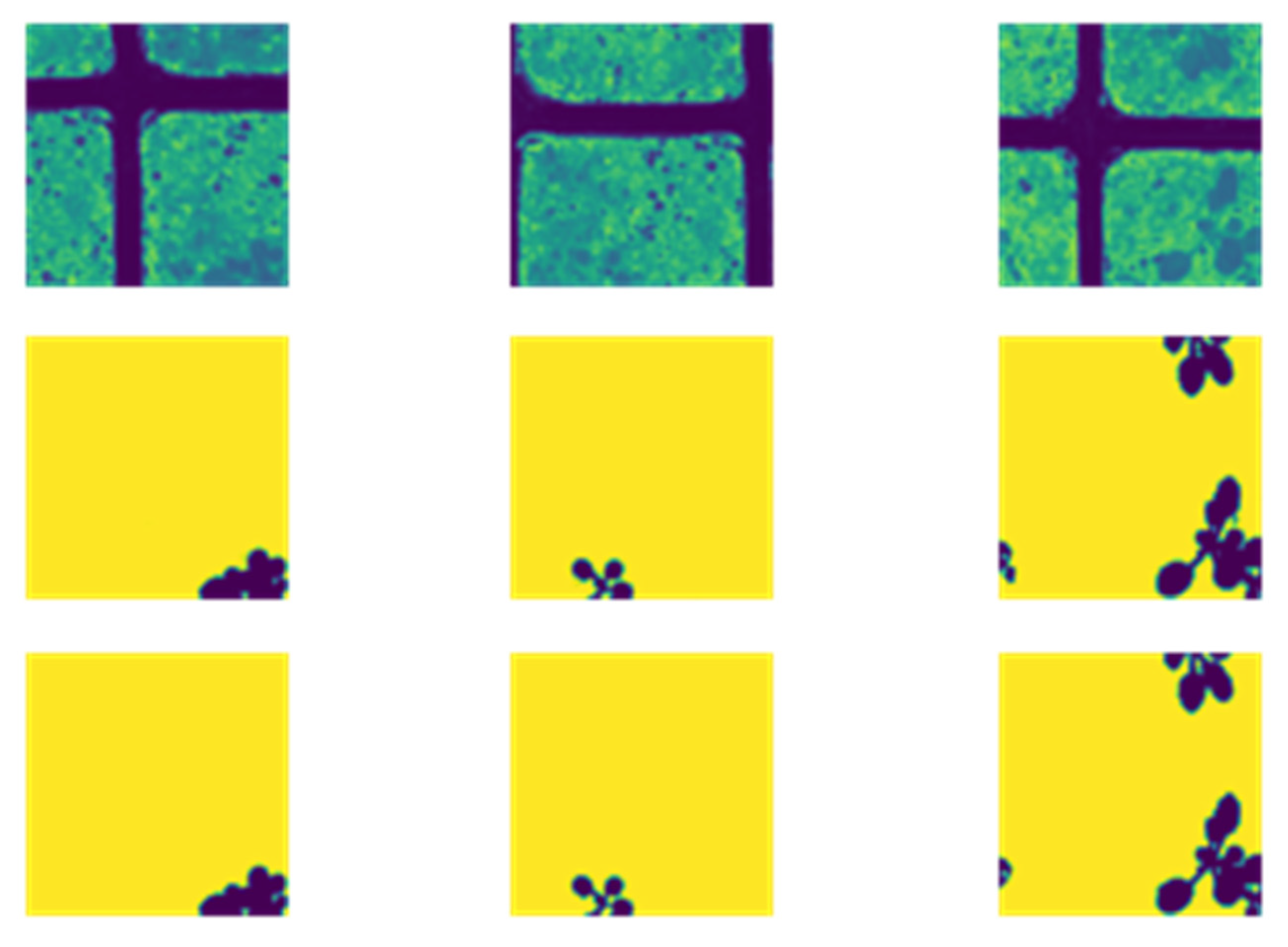 Segmentation of Spectral Plant Images Using Generative Adversary ...