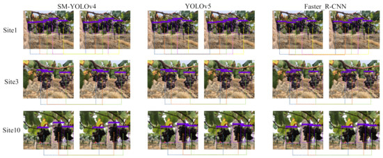Electronics | Free Full-Text | Grape Maturity Detection and Visual Pre-Positioning Based on ...