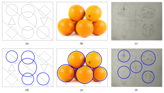 Hardware/Software Co-Design of a Circle Detection System Based on ...