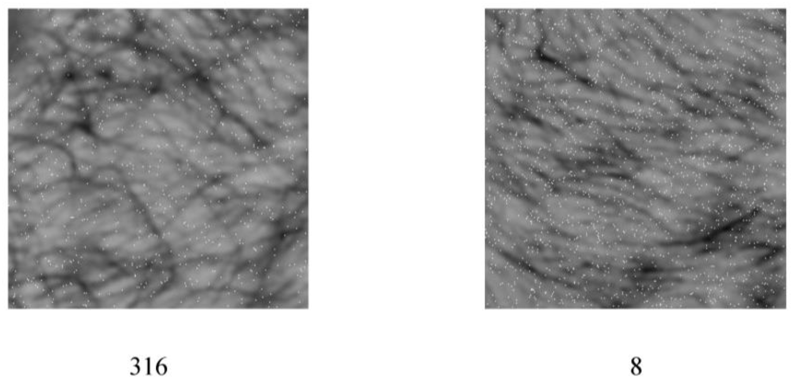 Recognition of Dorsal Hand Vein in Small-Scale Sample Database Based on ...