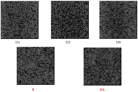 Electronics | Free Full-Text | Recognition of Dorsal Hand Vein in Small-Scale Sample Database ...