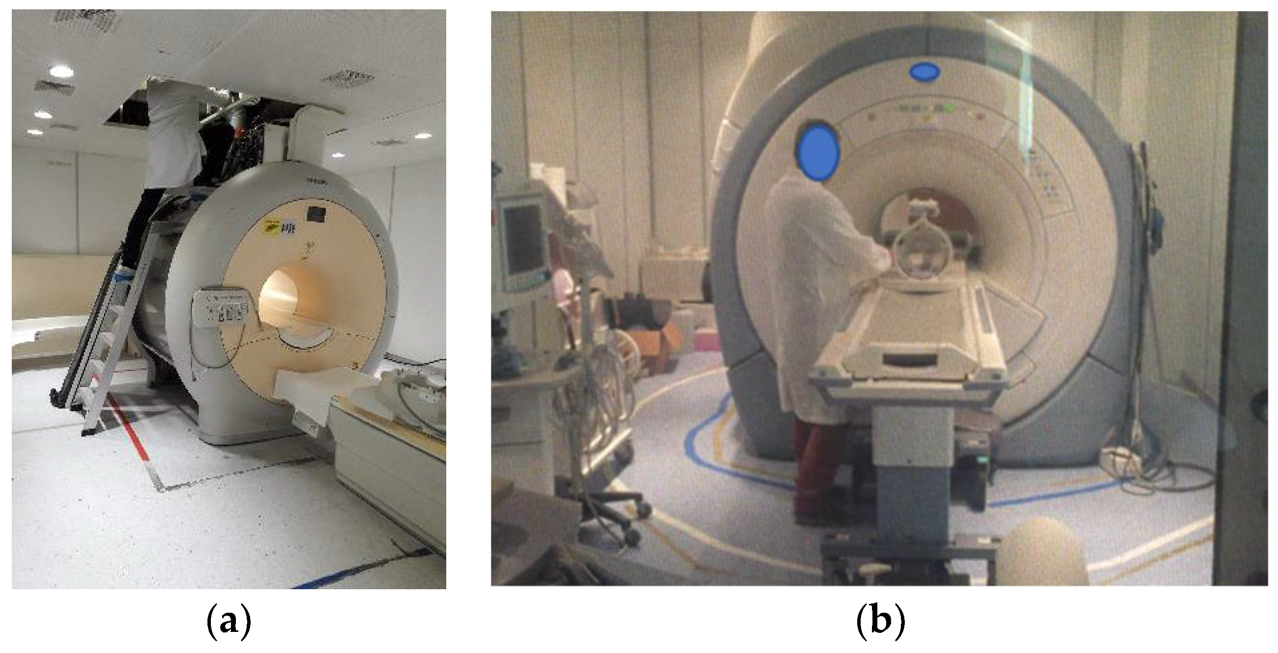 Portable Fmri Machine