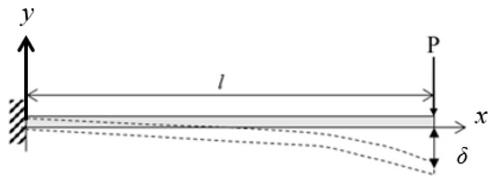 An Integrated Approach for the Determination of Young’s Modulus of a ...