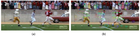 Motion Video Recognition in Speeded-Up Robust Features Tracking