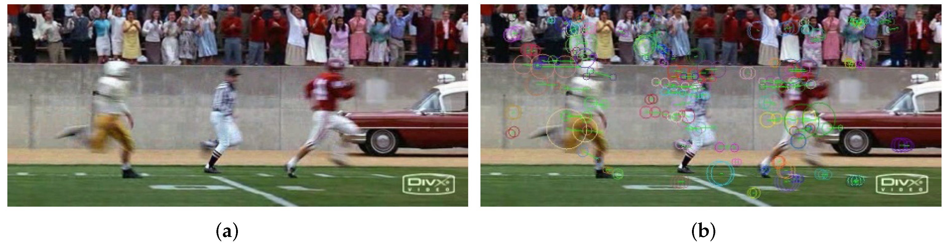 Motion Video Recognition in Speeded-Up Robust Features Tracking