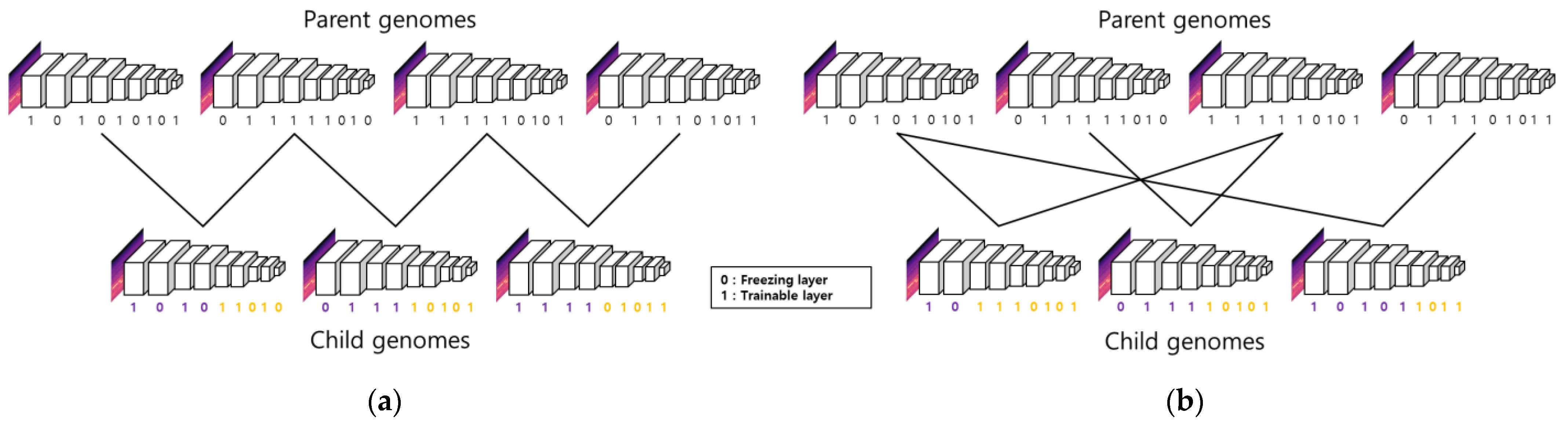 Selective Layer Tuning and Performance Study of Pre-Trained Models Using Genetic Algorithm