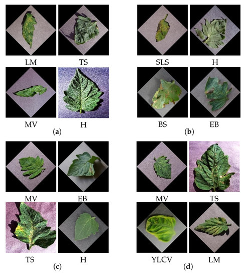 Electronics | Free Full-Text | A New Compact Method Based on a Convolutional Neural Network for ...