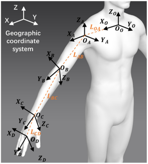 Research on Upper Limb Action Intention Recognition Method Based on Fusion of Posture ...