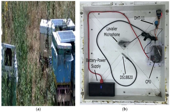 Bee Sound Detector: An Easy-to-Install, Low-Power, Low-Cost Beehive ...