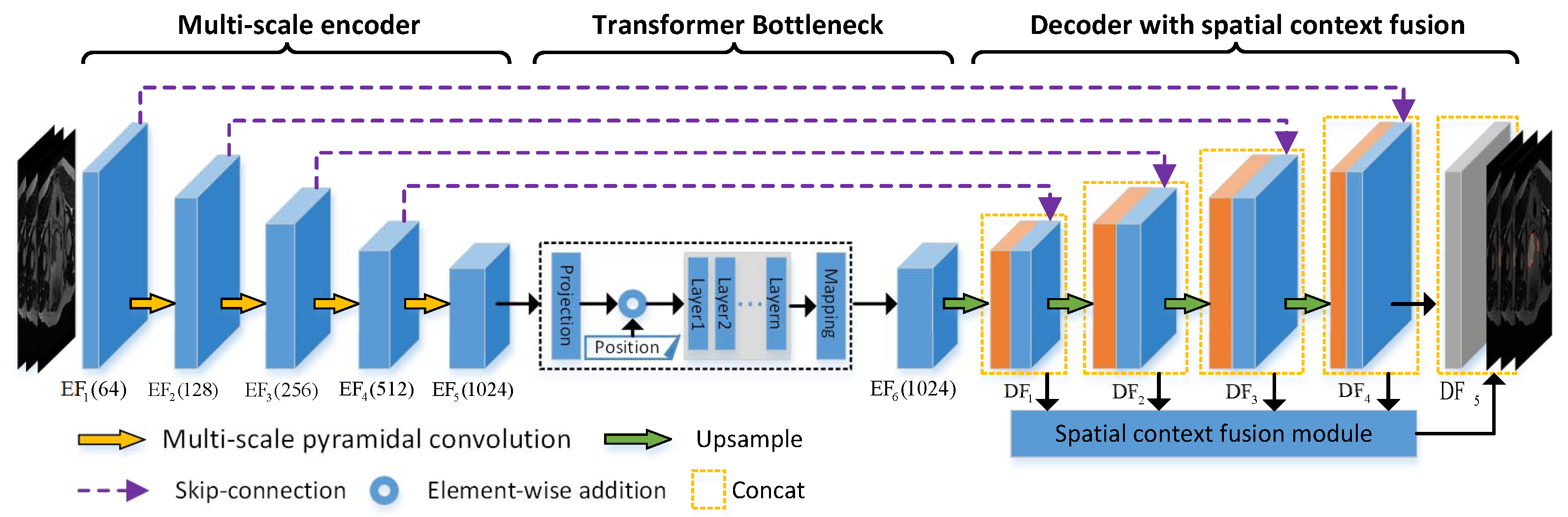 MSEDTNet: Multi-Scale Encoder and Decoder with Transformer for Bladder Tumor Segmentation