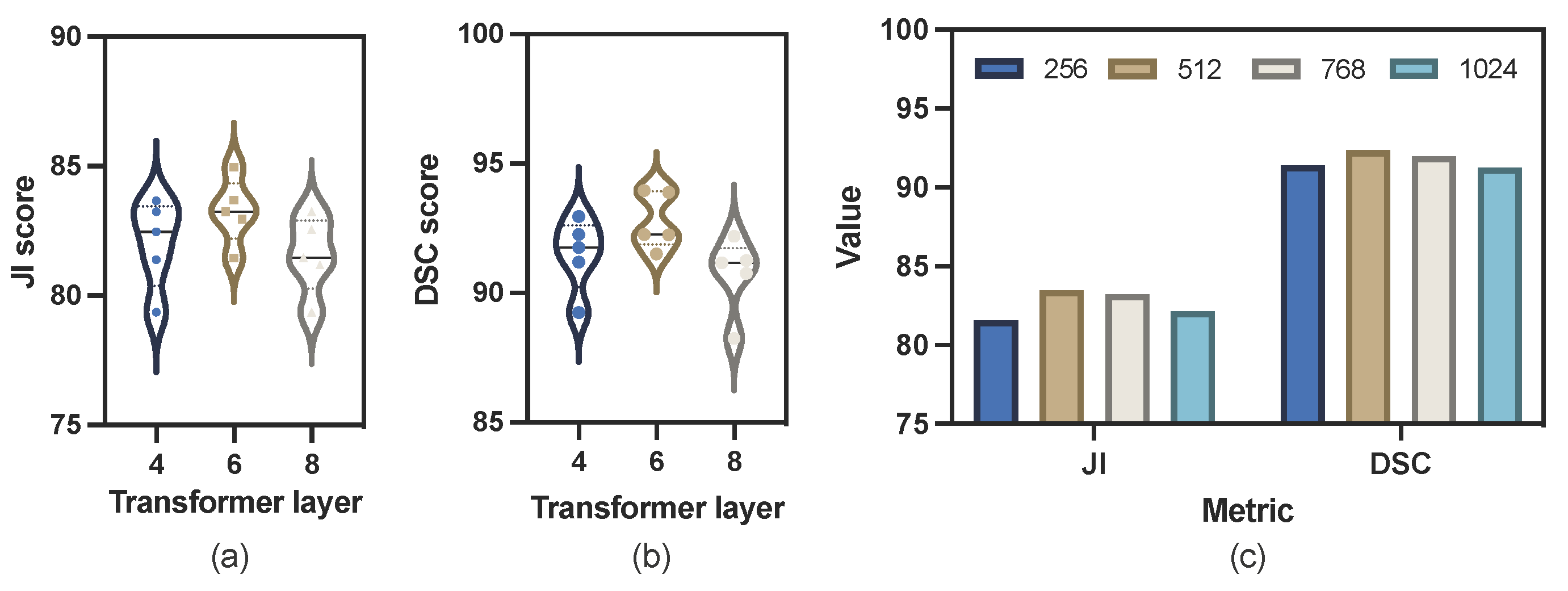 MSEDTNet: Multi-Scale Encoder and Decoder with Transformer for Bladder ...