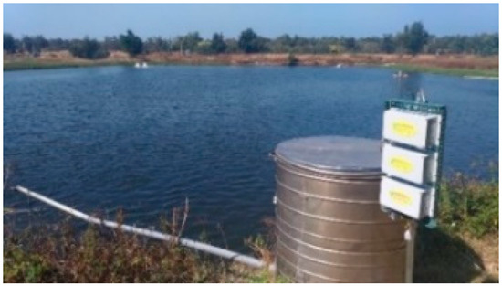 AIoT Precision Feeding Management System