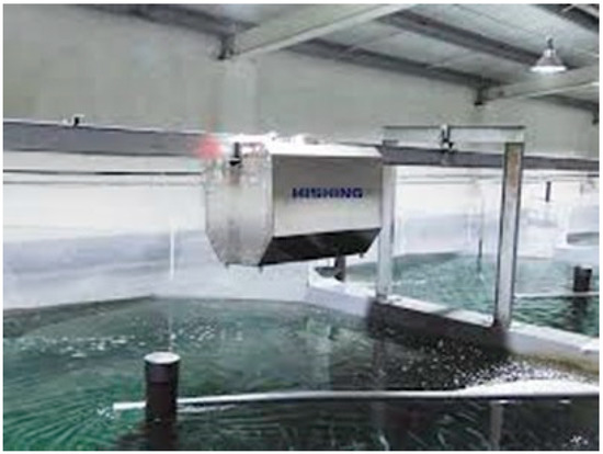 AIoT Precision Feeding Management System