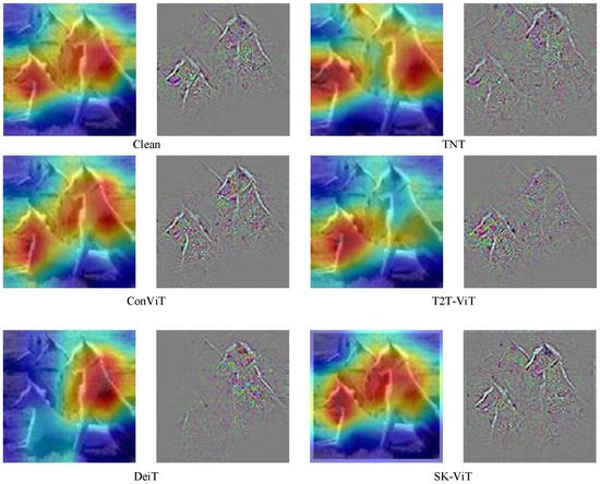 Electronics | Free Full-Text | ASK-ViT: A Model with Improved ViT Robustness through ...