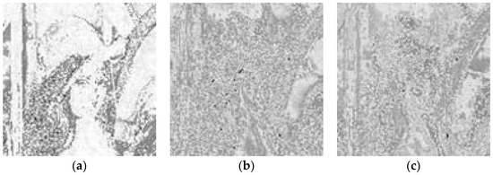 A Novel Color Image Encryption Algorithm Using Coupled Map Lattice with ...