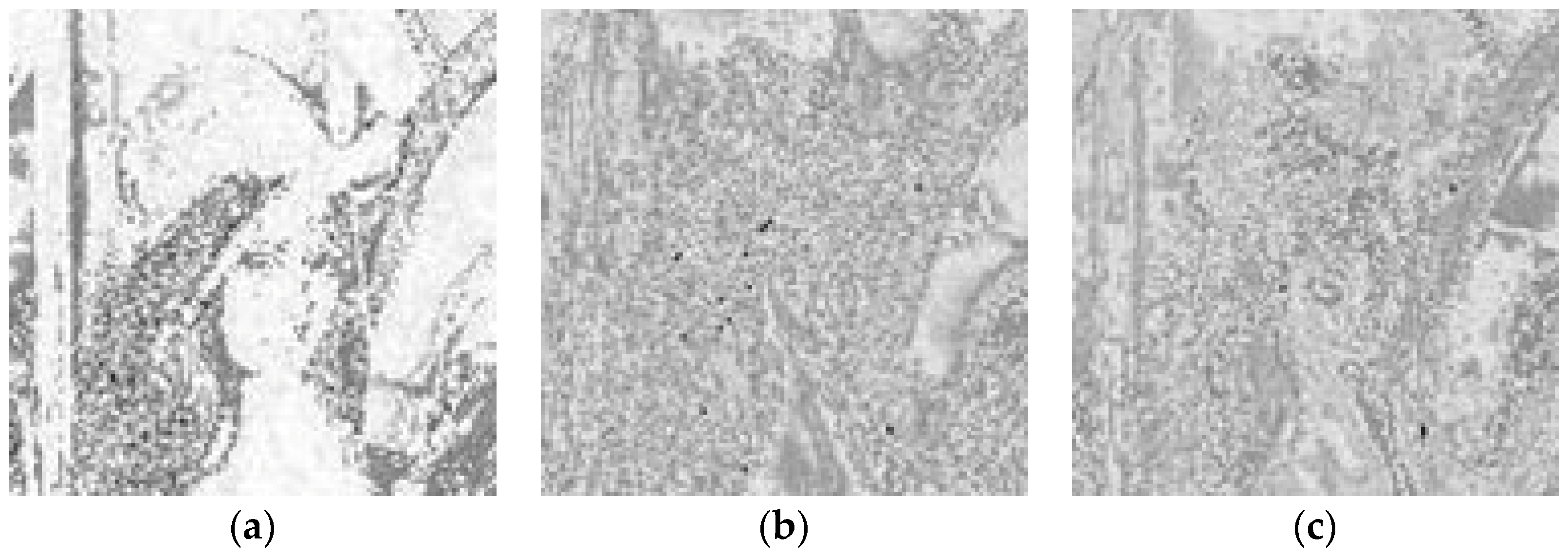 A Novel Color Image Encryption Algorithm Using Coupled Map Lattice with Polymorphic Mapping