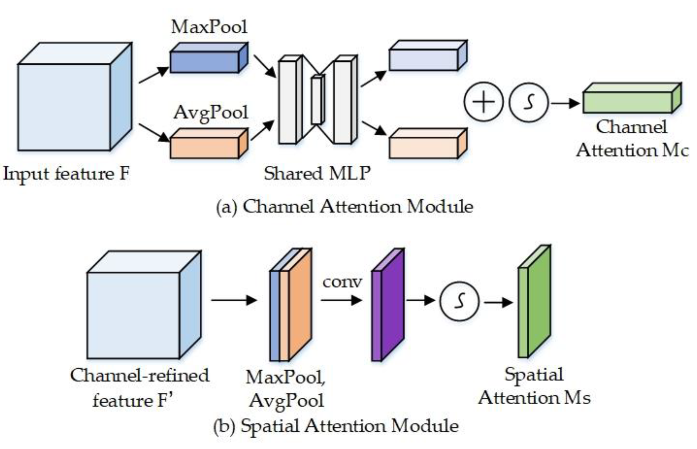 FIRN: A Novel Fish Individual Recognition Method with Accurate Detection and Attention Mechanism