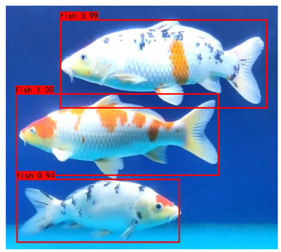 FIRN: A Novel Fish Individual Recognition Method with Accurate ...