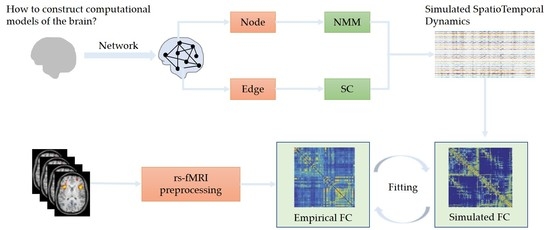 Electronics | Free Full-Text | Multiscale Brain Network Models and ...