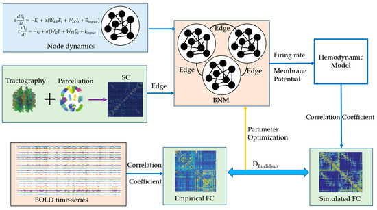 Electronics | Free Full-Text | Multiscale Brain Network Models and ...
