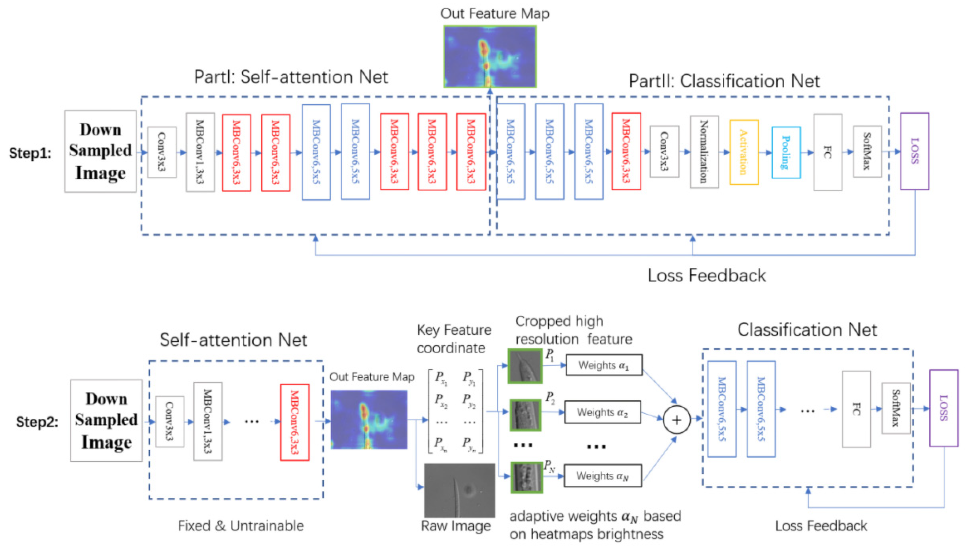 Fast Self-Attention Deep Detection Network Based on Weakly Differentiated Plant Nematodess