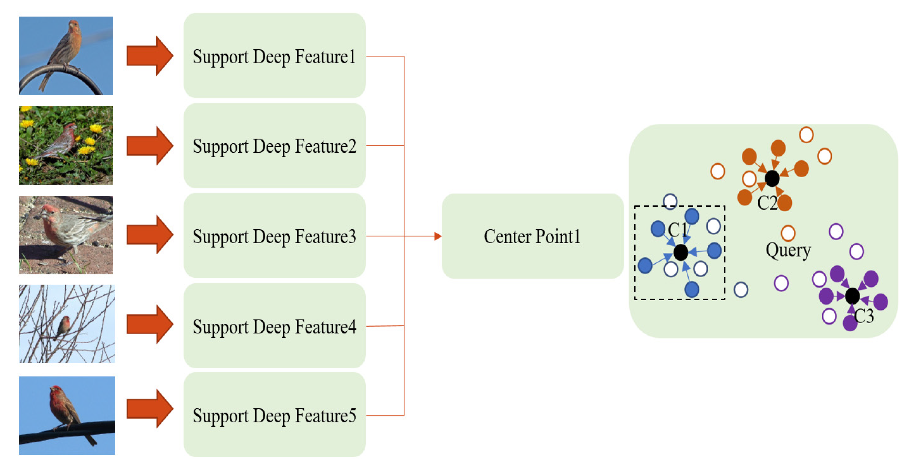 Few-Shot Classification with Dual-Model Deep Feature Extraction and Similarity Measurement