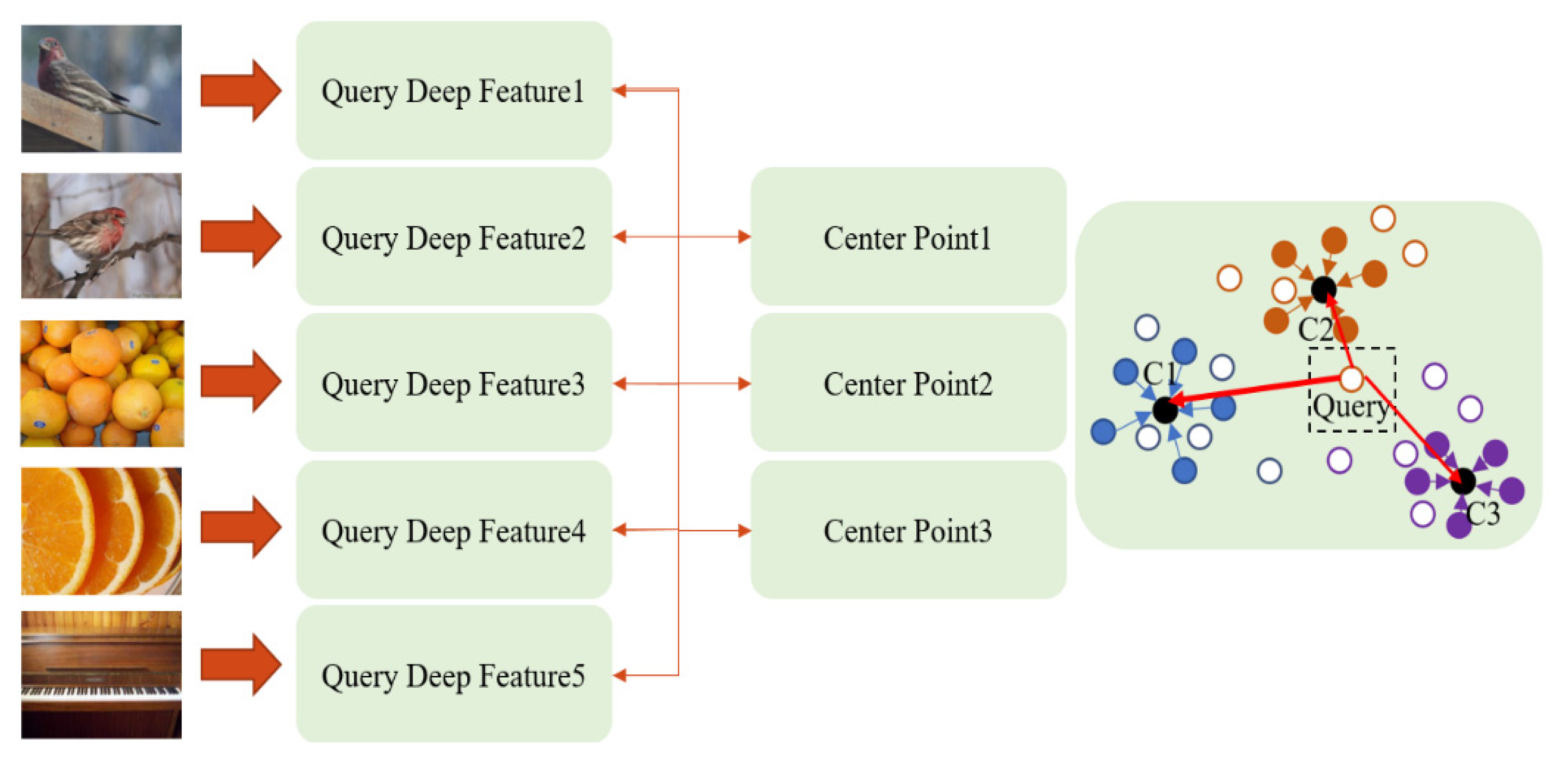 Few-Shot Classification with Dual-Model Deep Feature Extraction and Similarity Measurement