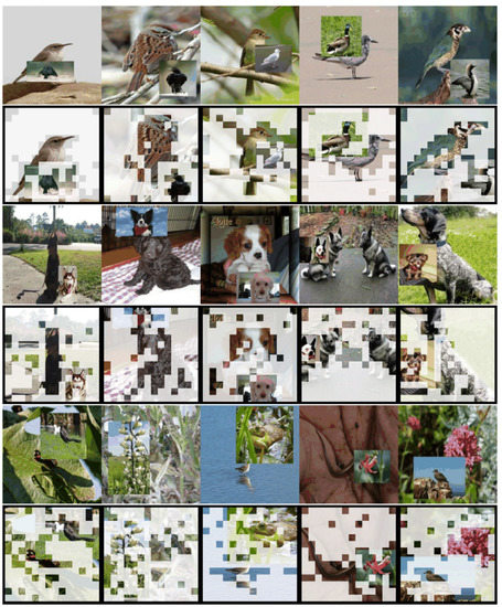 Electronics | Free Full-Text | MFVT: Multilevel Feature Fusion Vision Transformer and RAMix Data ...