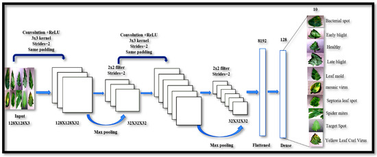 Electronics | Free Full-Text | Detection and Classification of Tomato Crop Disease Using ...
