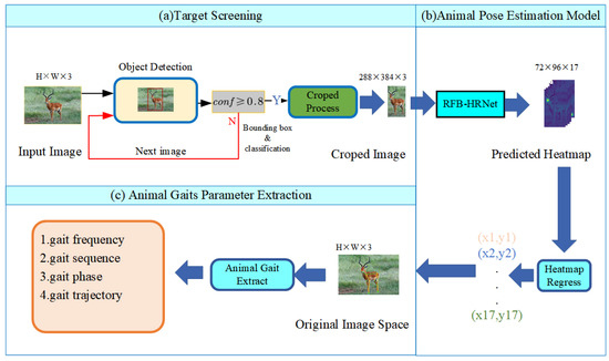 Vision-Based Quadruped Pose Estimation and Gait Parameter Extraction Method